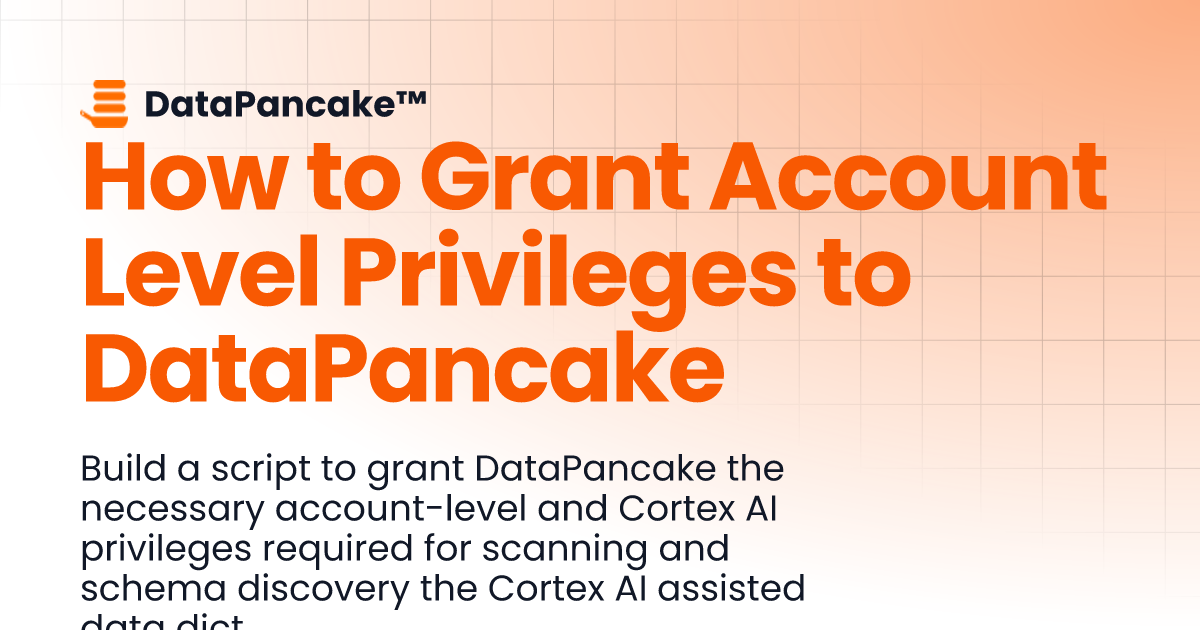 How to Grant Account Level Privileges to DataPancake | DataPancake™ Docs